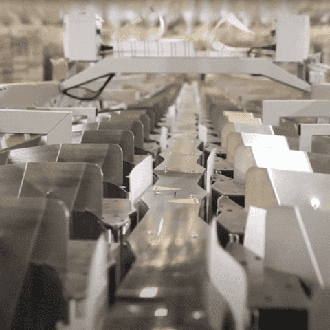 Vsort Letter & Flats Sorting System - NPI