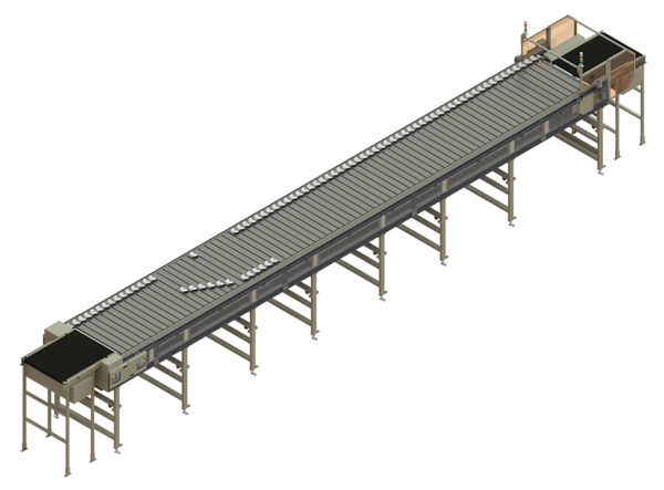 NPI's Parcel Sortation Systems: Efficiency Through Innovation